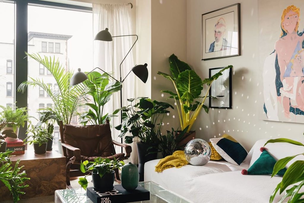 The Best Indoor Houseplants From Bloomscape | POPSUGAR Home