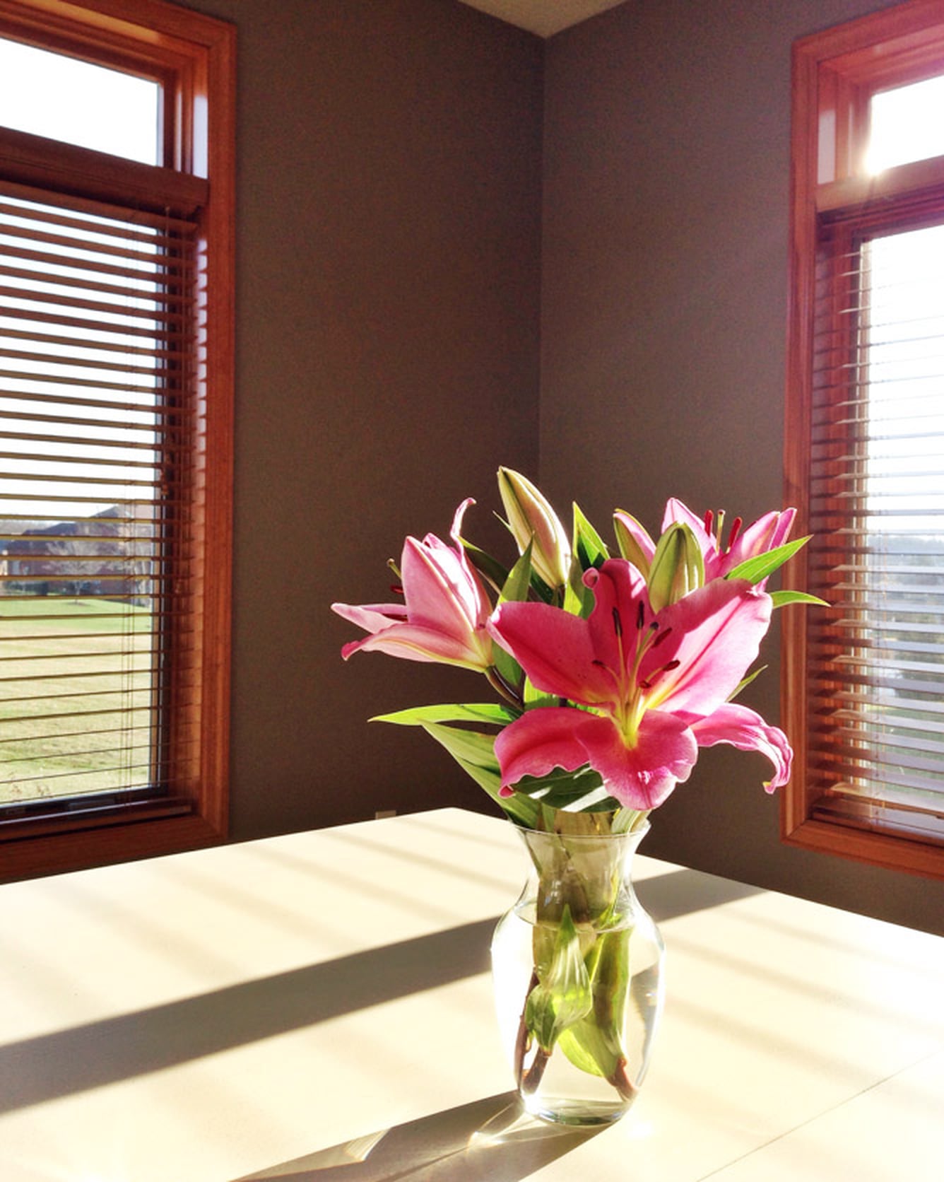 Facts About Lilies | PS Home