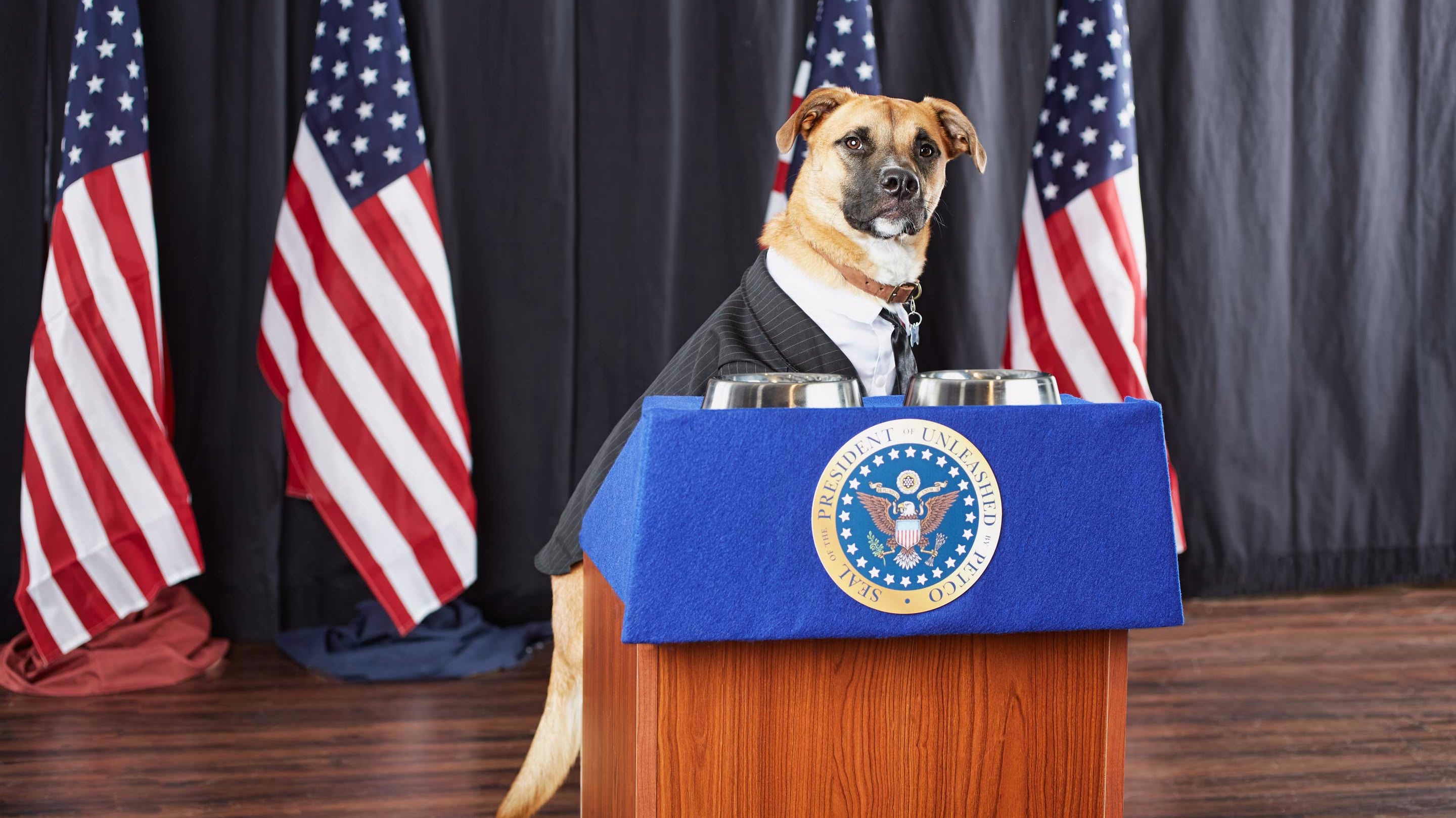 Presidential Puppy Podium From Petco | PS Pets