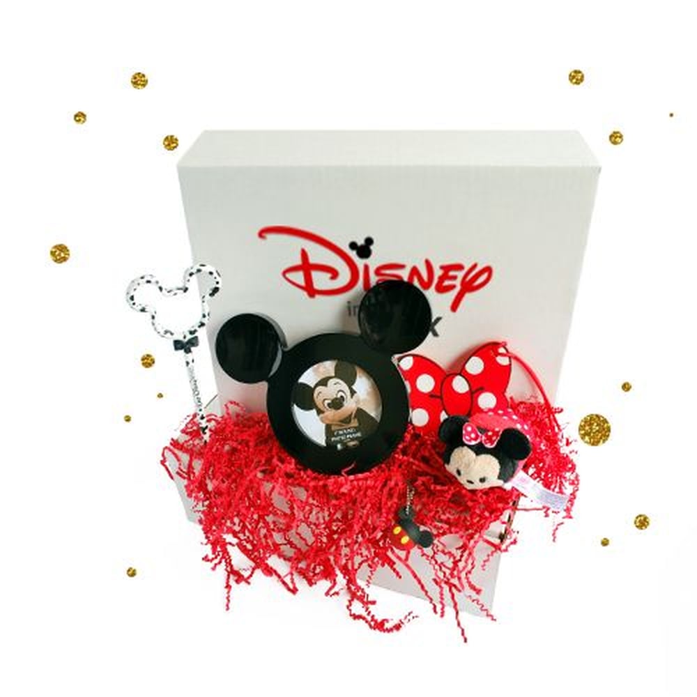 Disney Subscription Boxes | PS Love