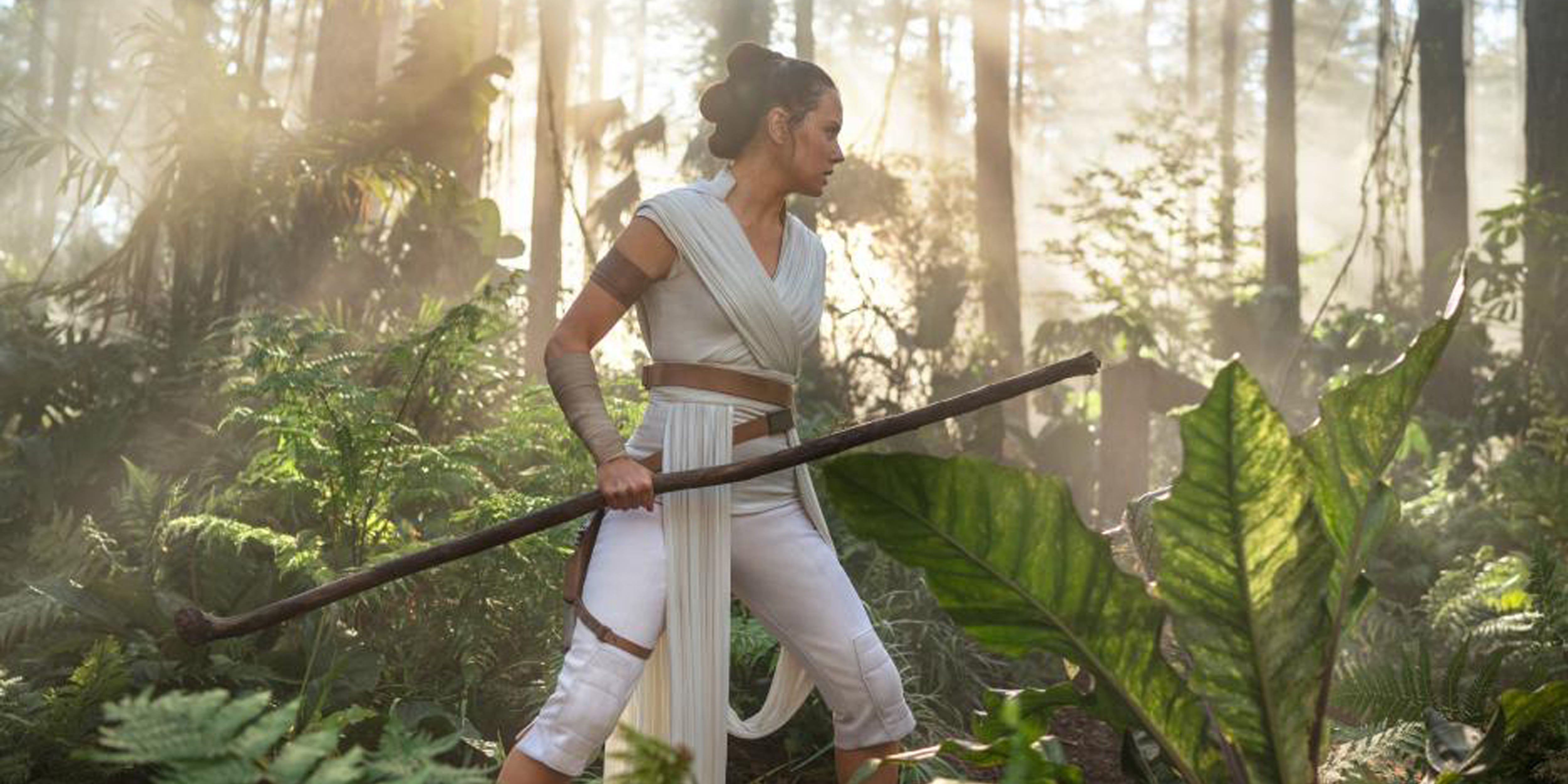 How Much Did Rise of Sky Walker Make at the Box Office? | PS Entertainment