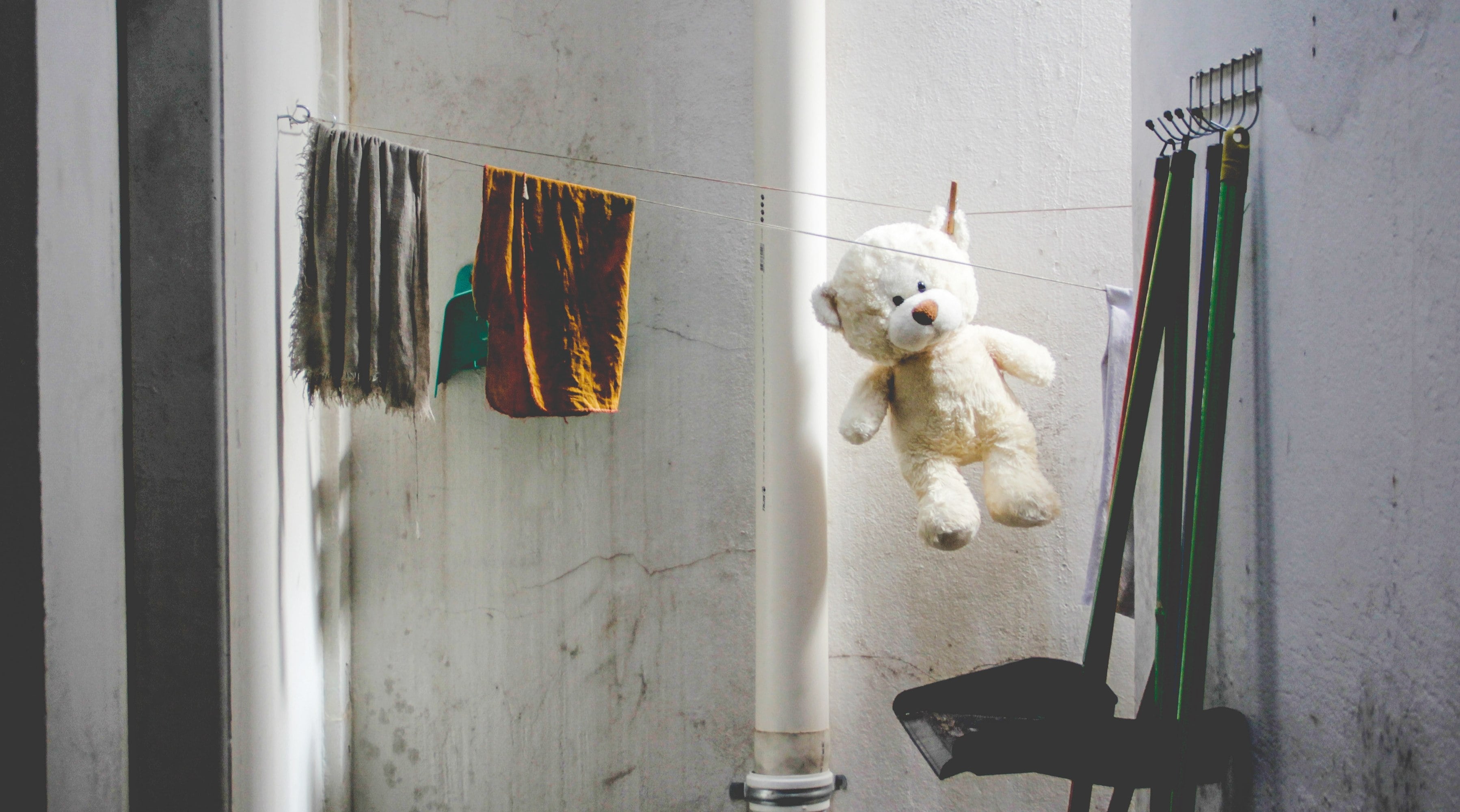 How to Clean Stuffed Animals | PS Family