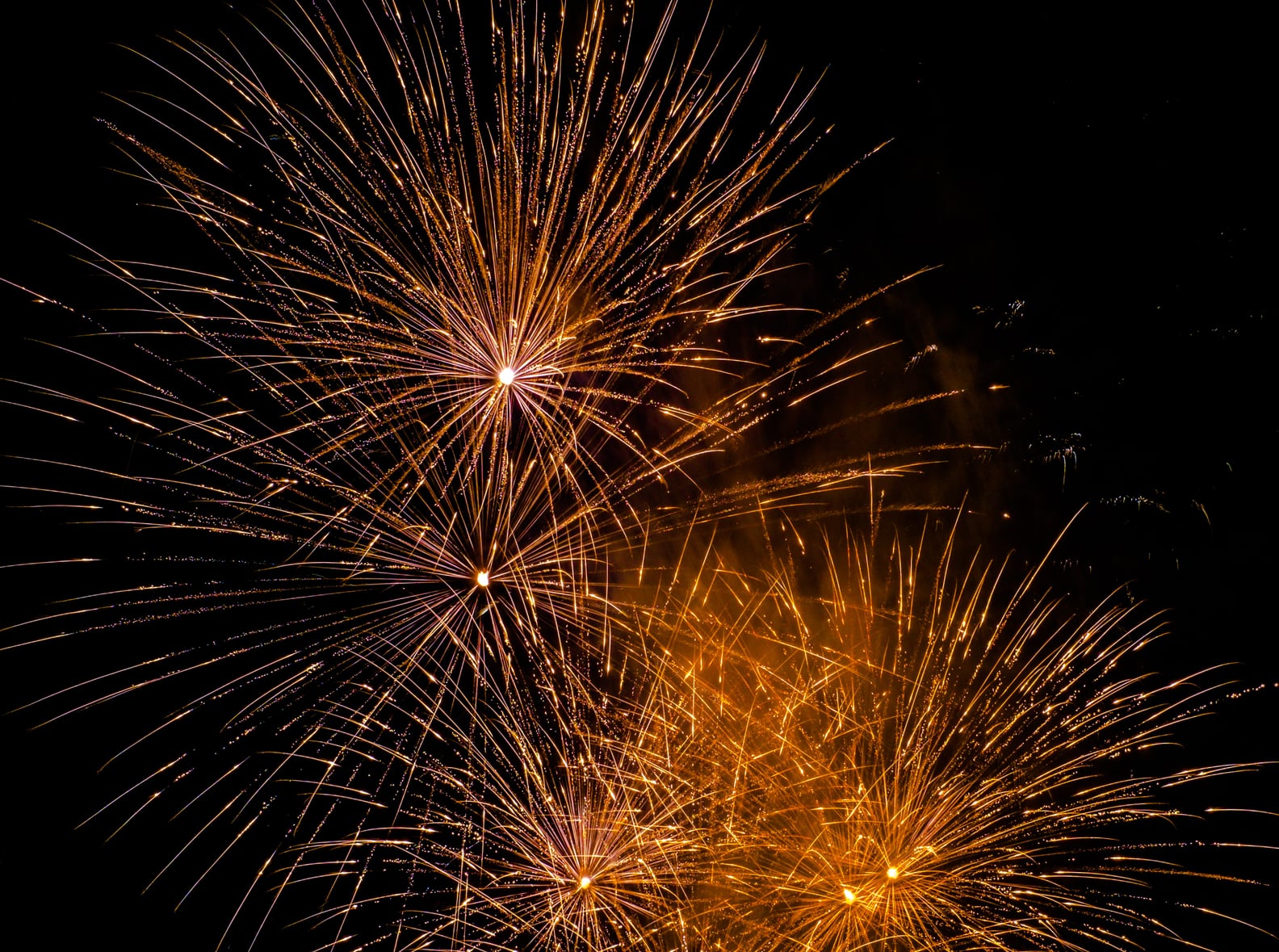 Download Free Holiday Zoom Backgrounds | POPSUGAR Tech