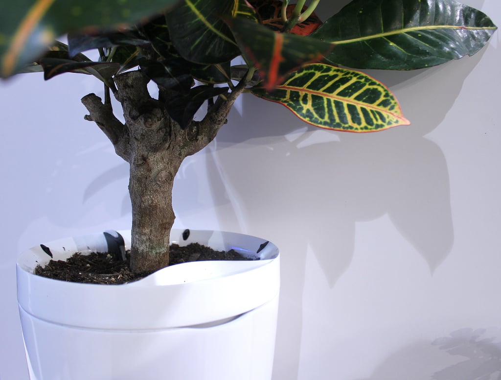 Best Smart-Home Gadgets 2015 | POPSUGAR Tech