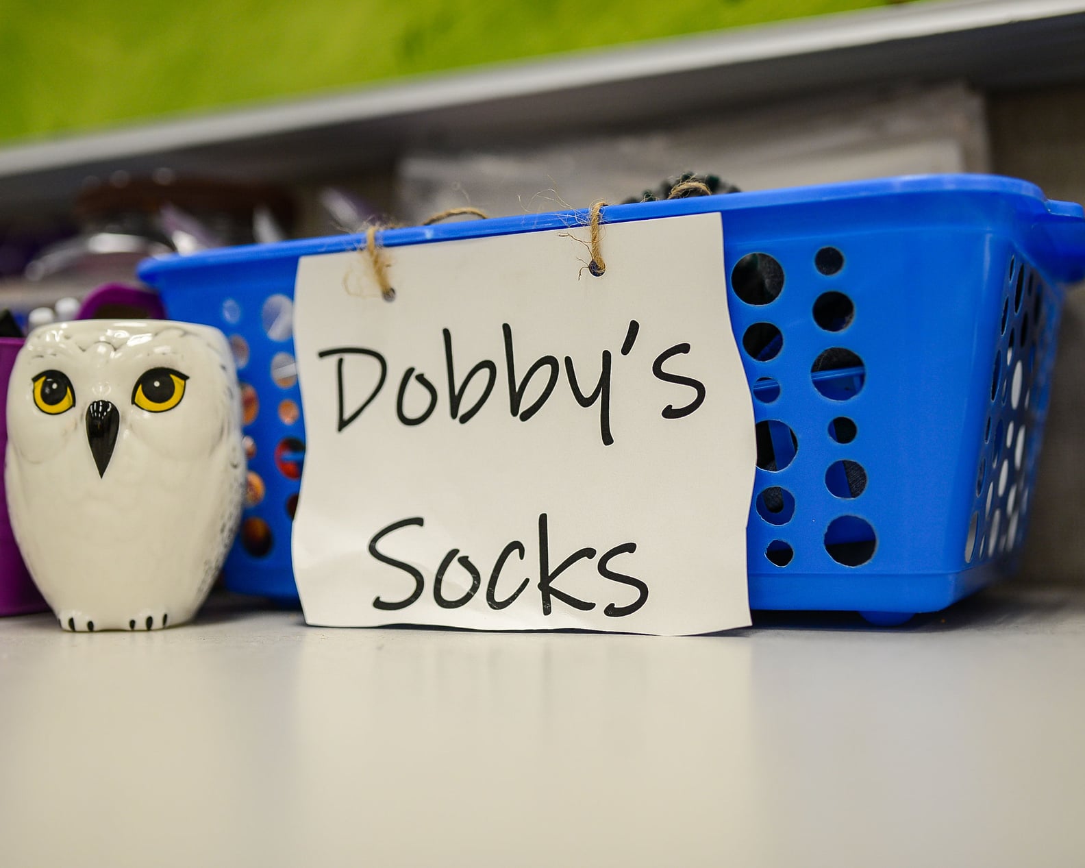 Third-Grade Teacher Creates Harry Potter Classroom | PS Family