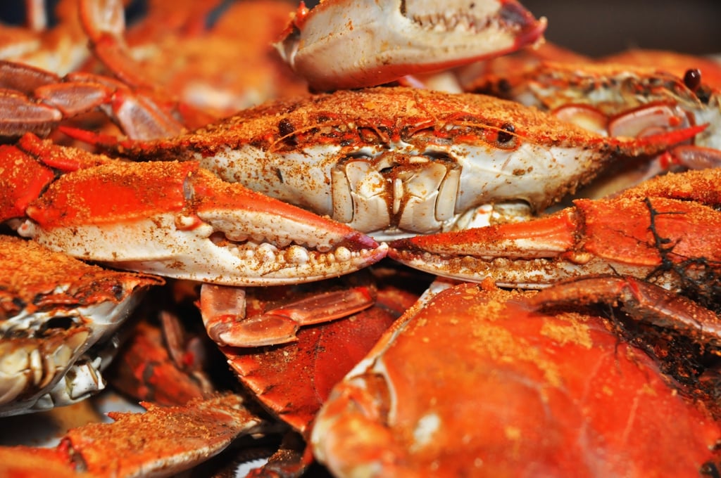 Crab | Seafood Buying Tips | POPSUGAR Food Photo 5