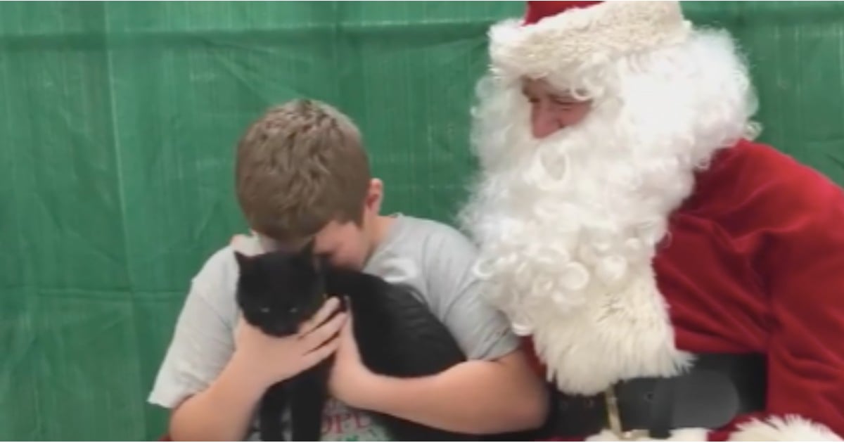 Video of Boy Getting a Cat For Christmas | POPSUGAR Family