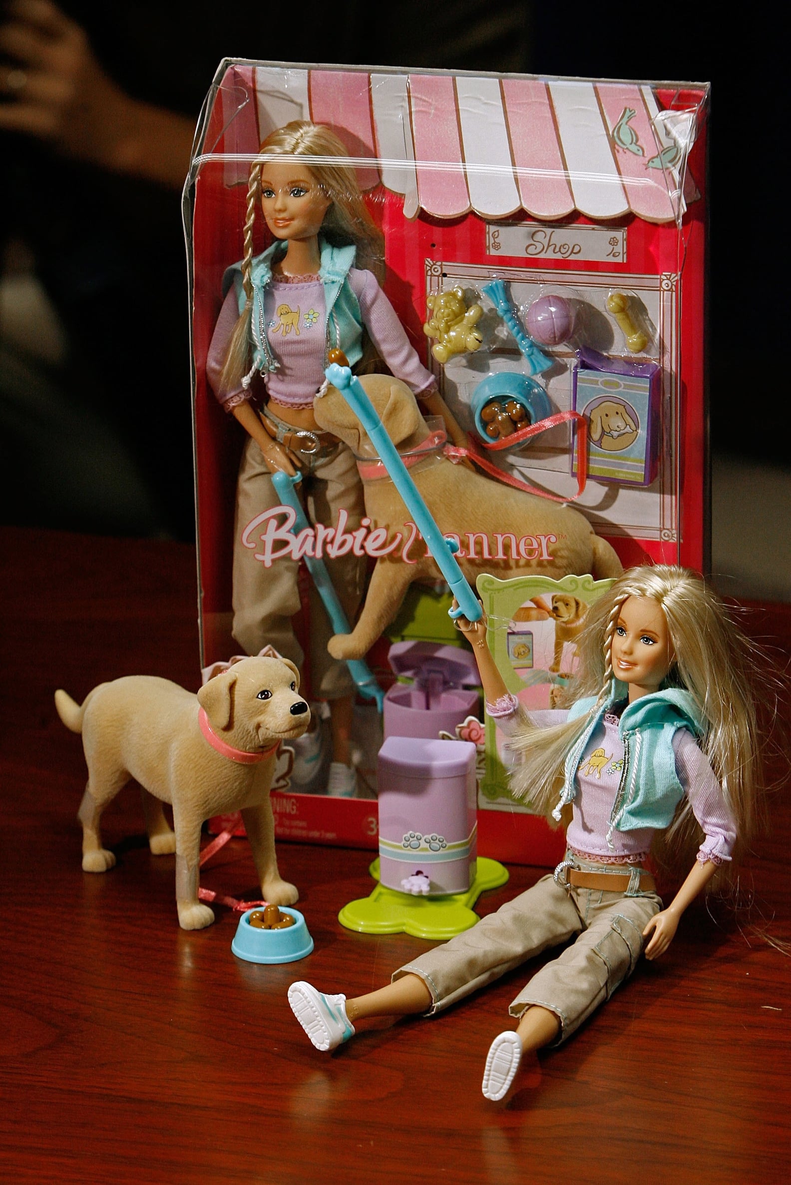 Barbie's Family and Friends | PS Entertainment