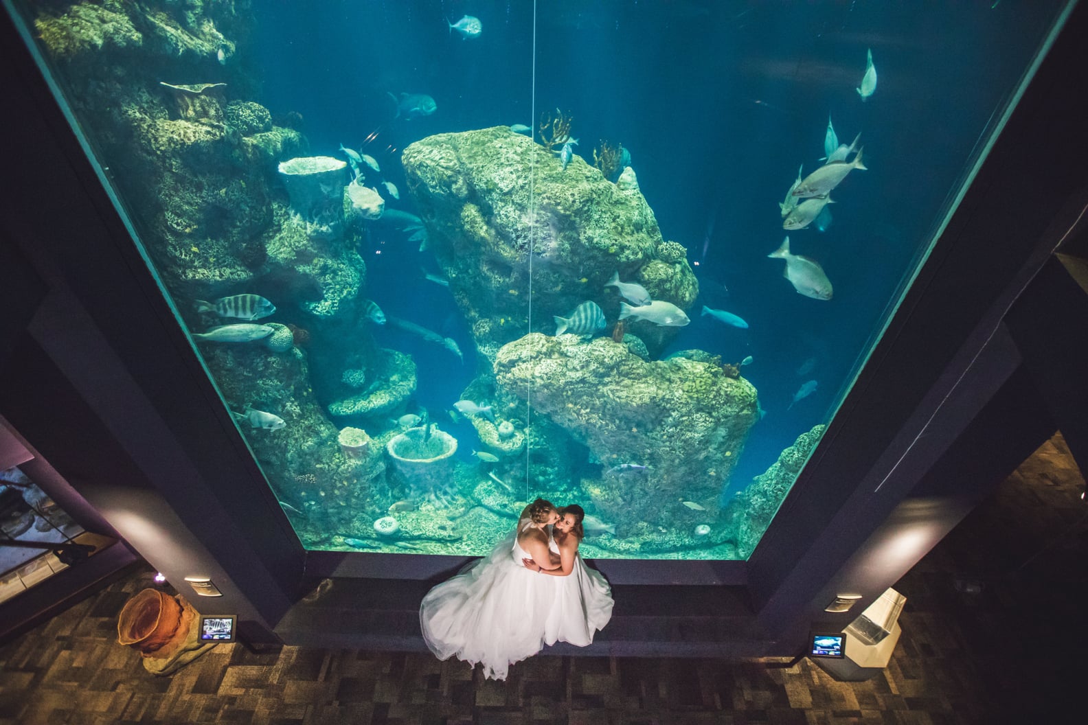 Aquarium Wedding Ideas | PS Love