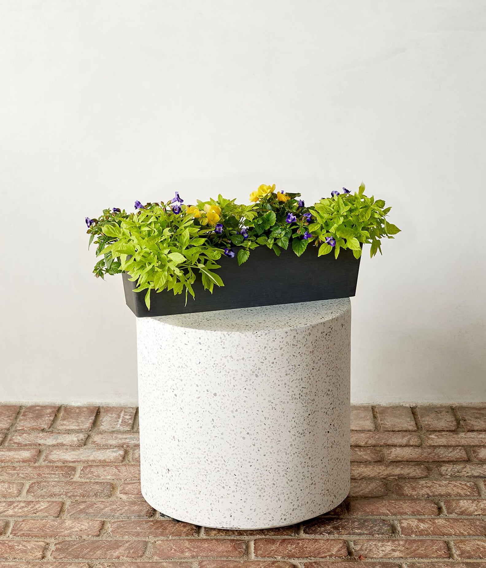 Bloomscape Outdoor Plant Launch | PS Home