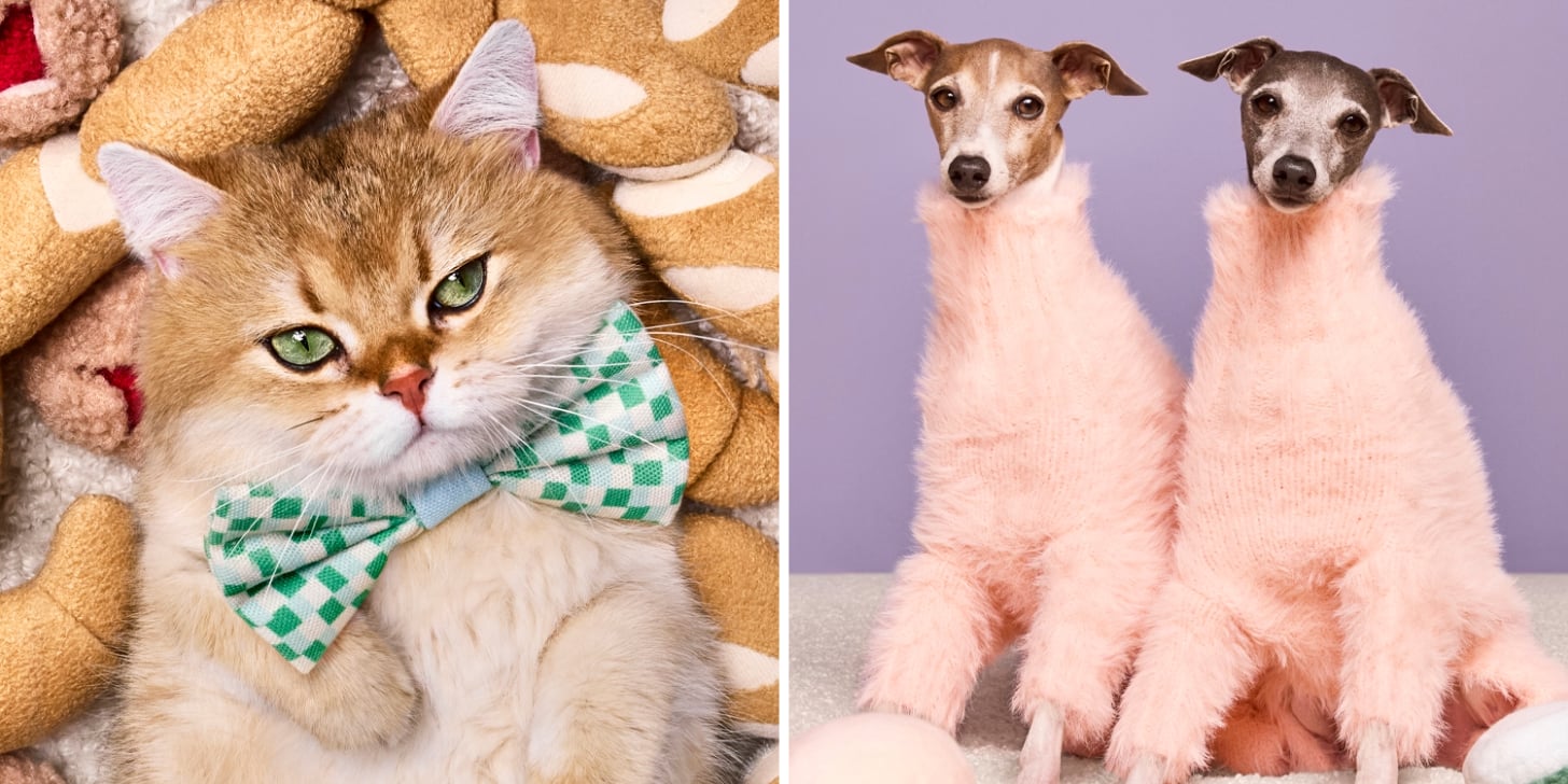 Target Unveils The Cuddle Collab Pet Collection, Coming Soon | PS Pets
