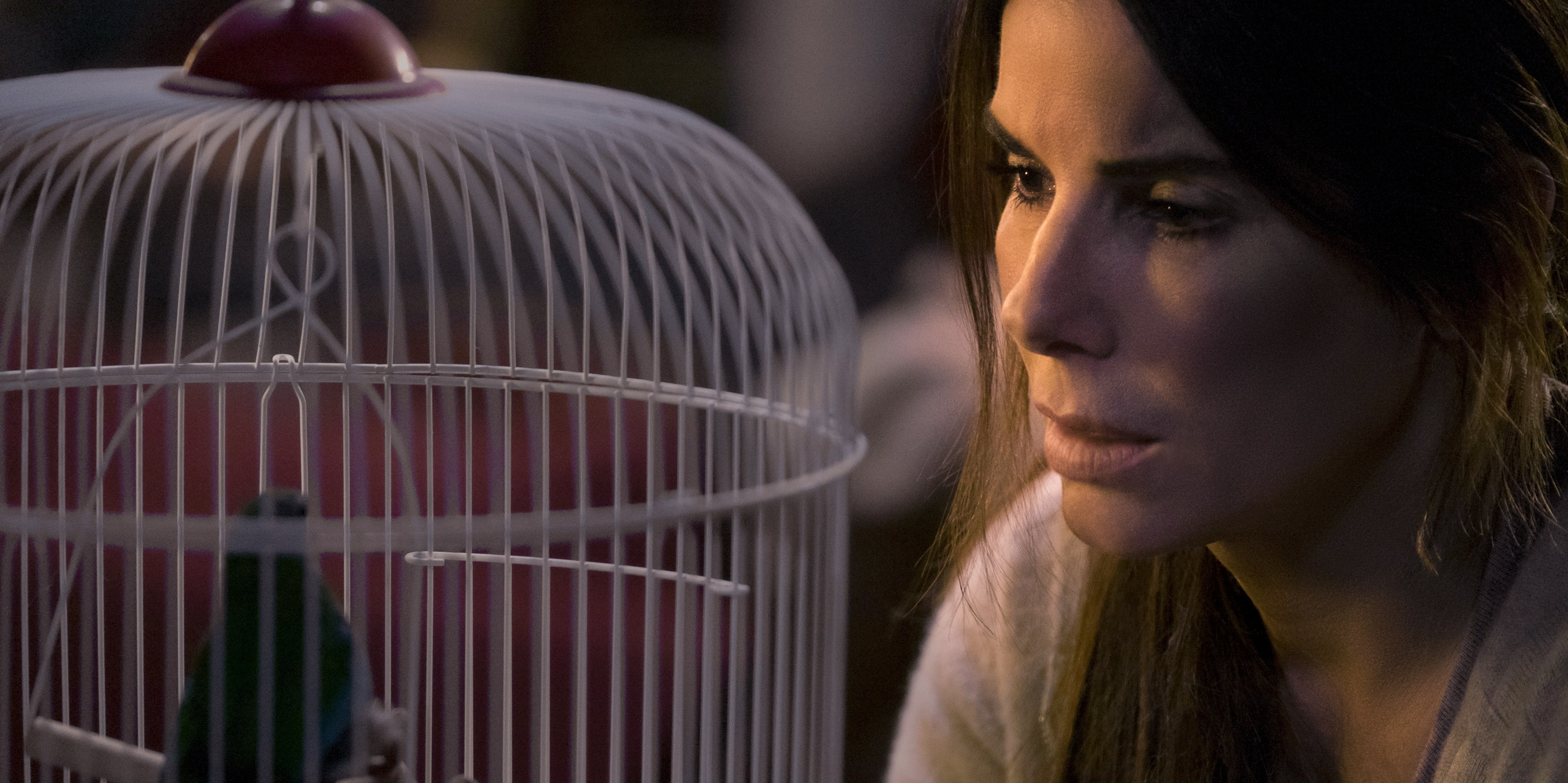 What Is the Monster in Bird Box? | PS Entertainment