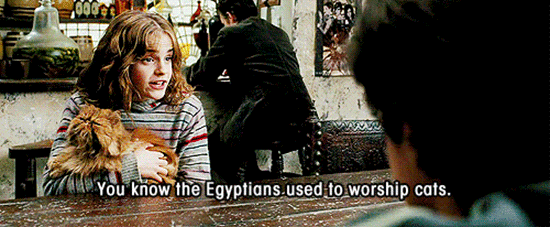 Funny Hermione Gifs Ps Love