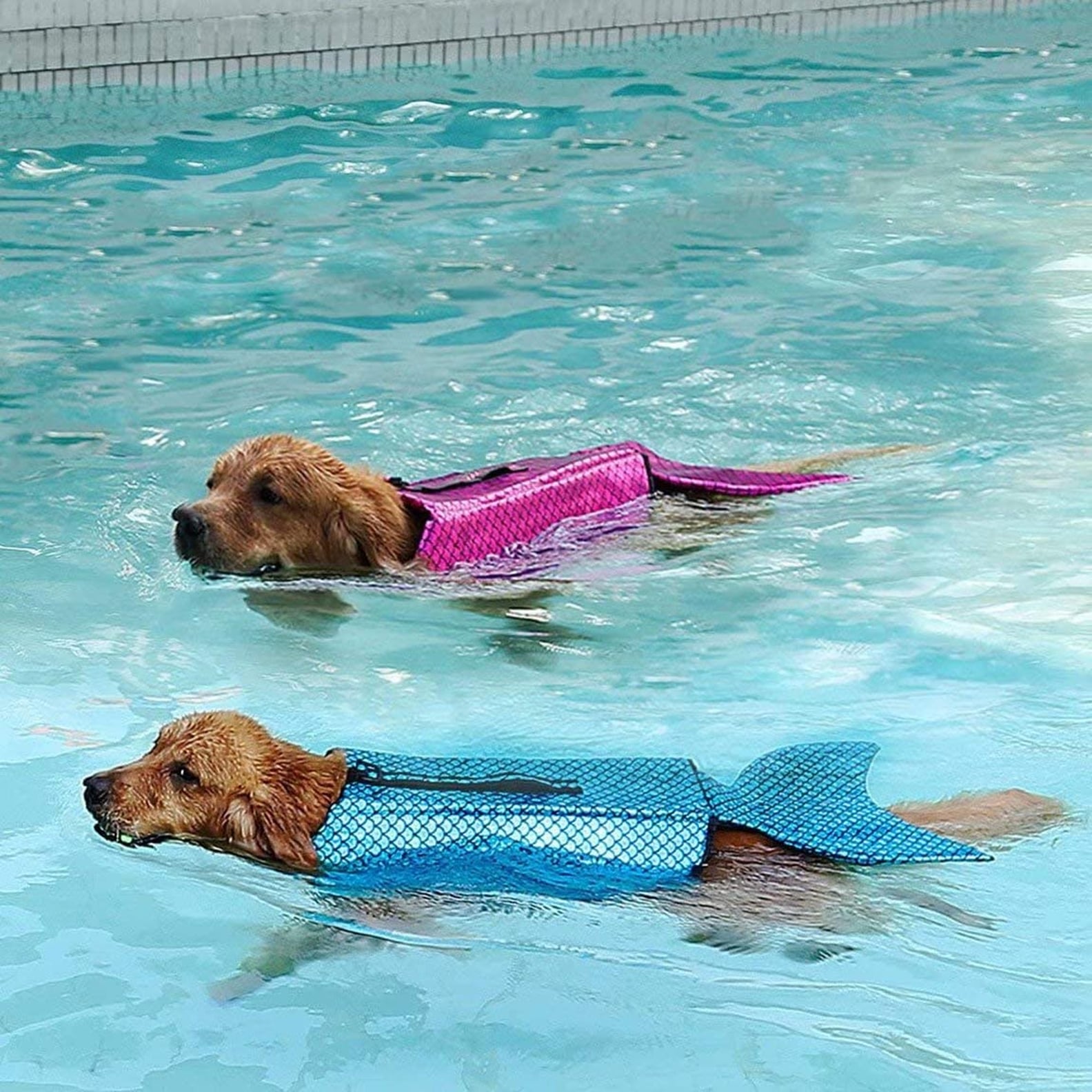 Shop These Mermaid Life Jackets For Dogs | PS Family
