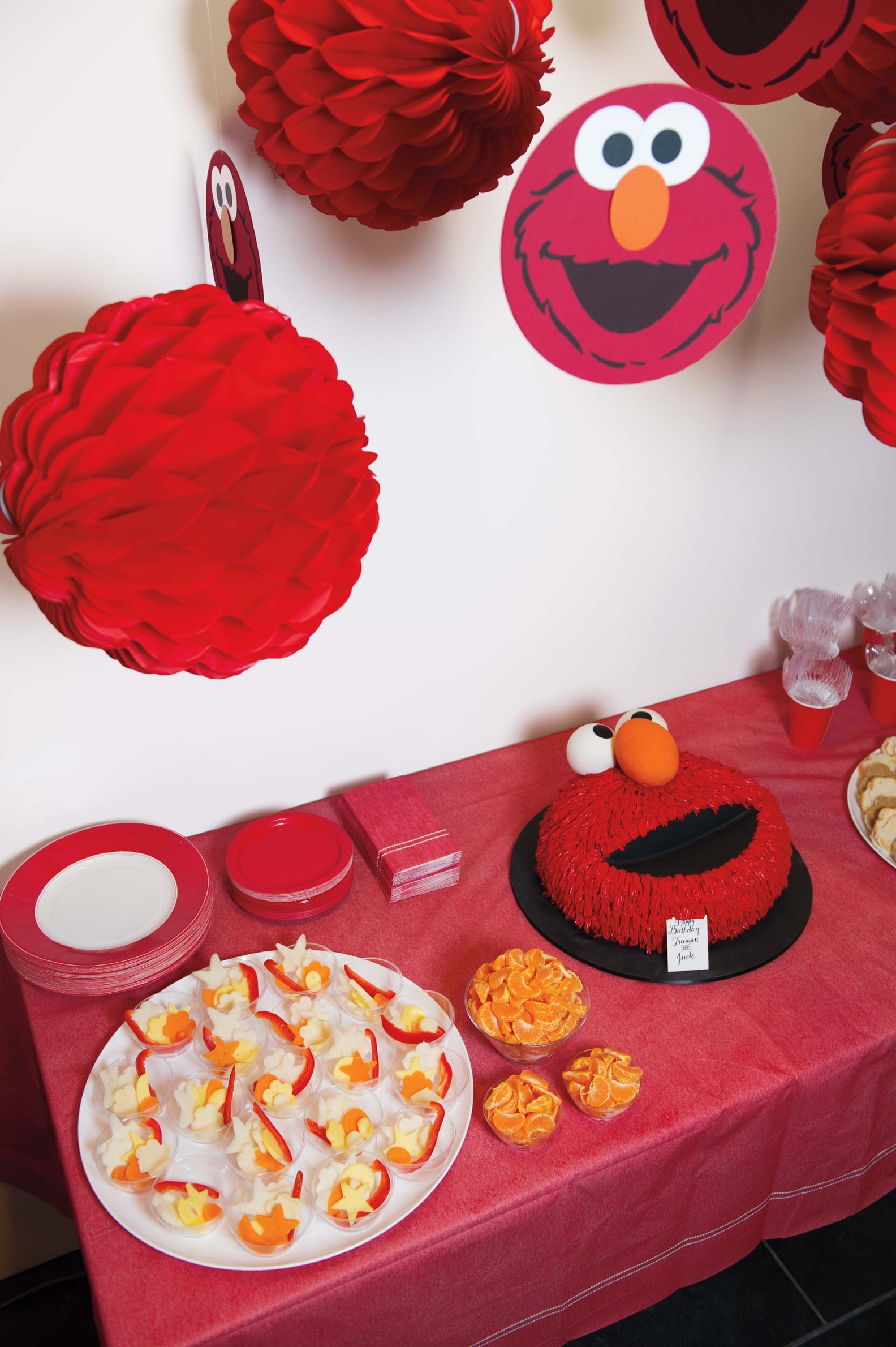 Martha Stewart's Elmo Birthday Party | PS Family