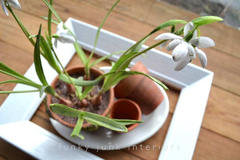 How to Make Fake Flowers and Plants Look Real | POPSUGAR Home