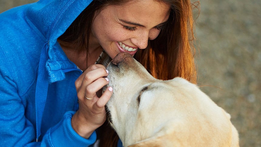 How Animals Are Like People | POPSUGAR Pets