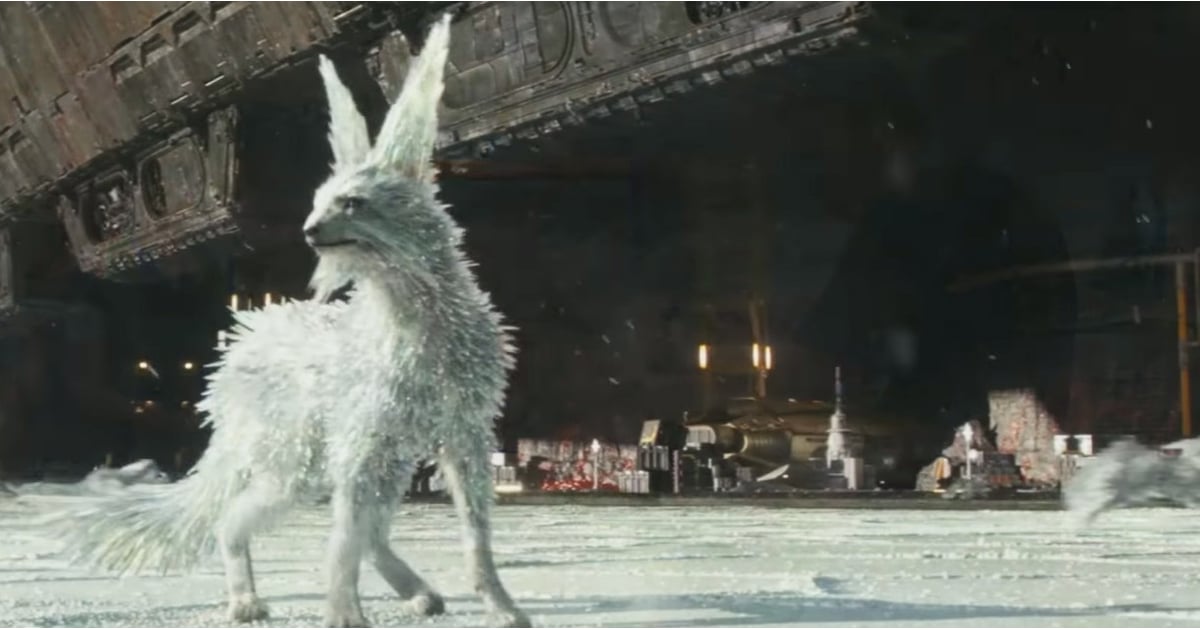 Meet the Mysterious Crystal Foxes of Star Wars: The Last Jedi