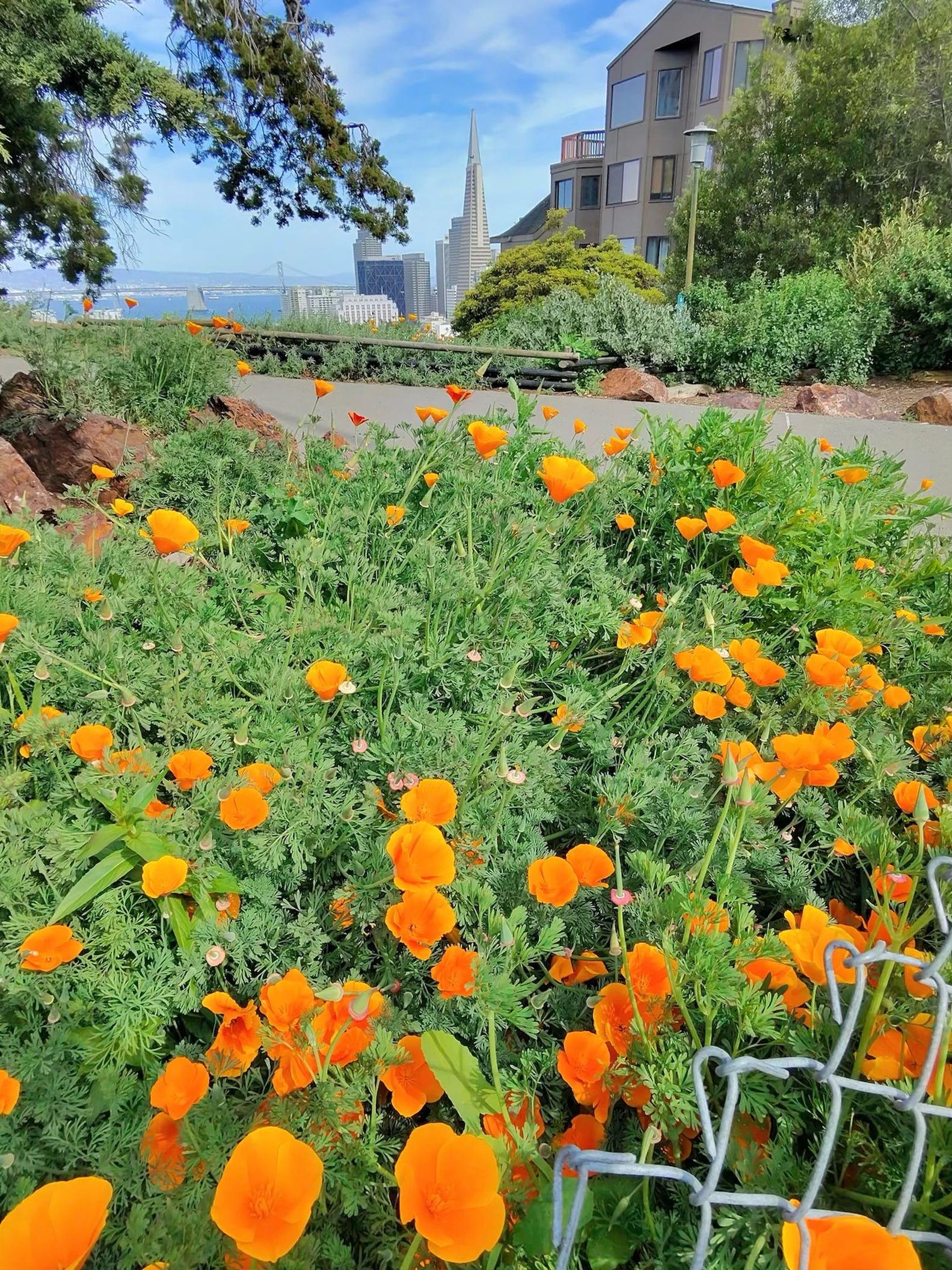 Ray-Ban Meta Smart Glasses Review With Photos 2024 | PS Tech