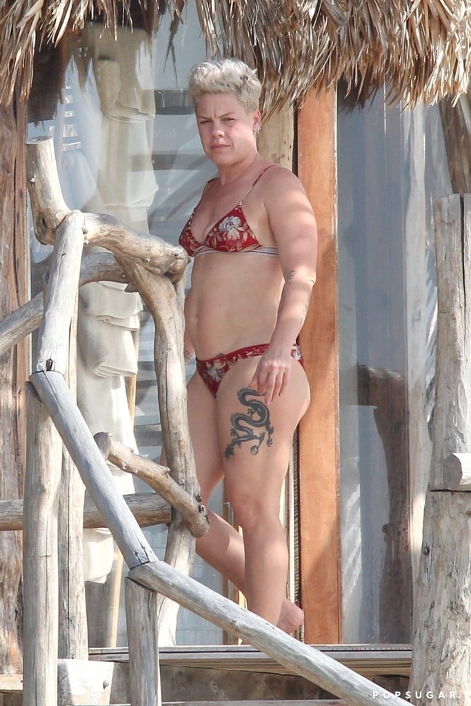 Pink And Carey Hart At The Beach In Mexico February 2019 Popsugar Celebrity Photo 39