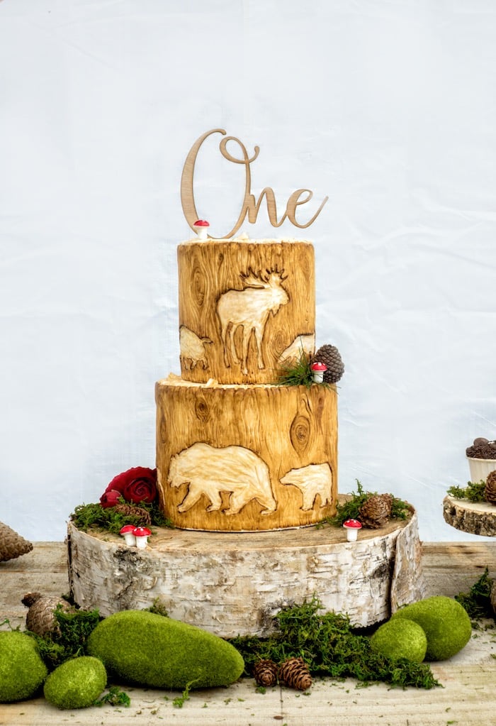 Wilderness-Themed Birthday Party | PS Family