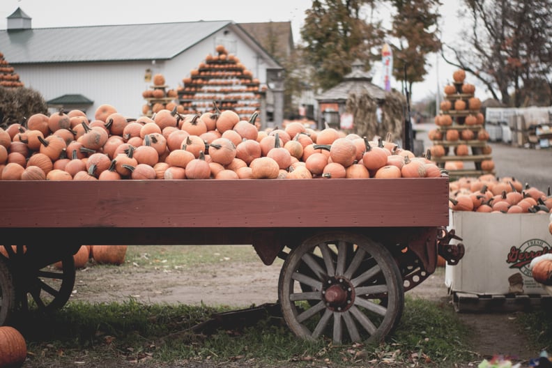 Best Fall Activities For Zodiac Signs | PS Smart Living