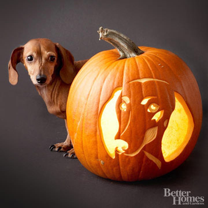 Downloadable Dog Breed Pumpkin Stencils | PS Pets