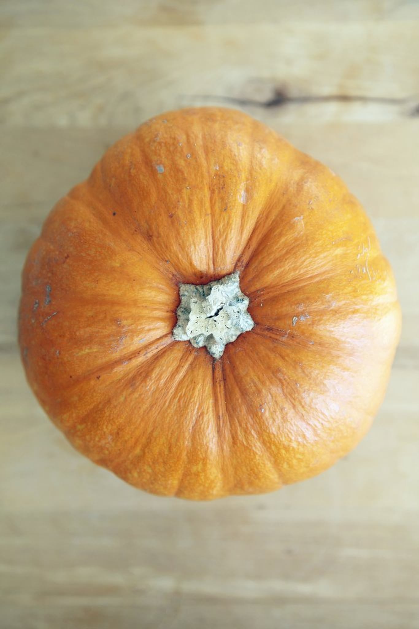 Fall Produce Guide | PS Food