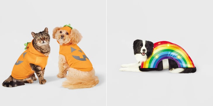 Best Dog Halloween Costumes at Target 2022 | POPSUGAR Pets