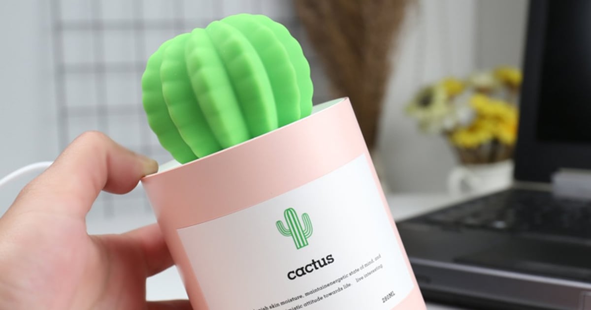 Portable Cactus Humidifier | POPSUGAR Smart Living