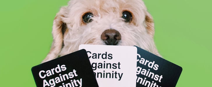 Pets Must Haves February 2016 | POPSUGAR Pets