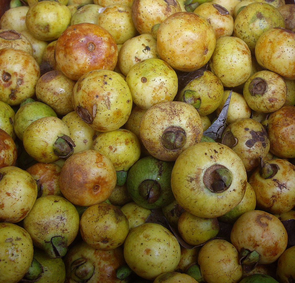 The Fruit of Costa Rica | POPSUGAR Food