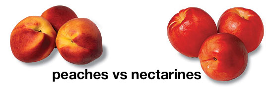 Do You Prefer Peaches or Nectarines? | POPSUGAR Food