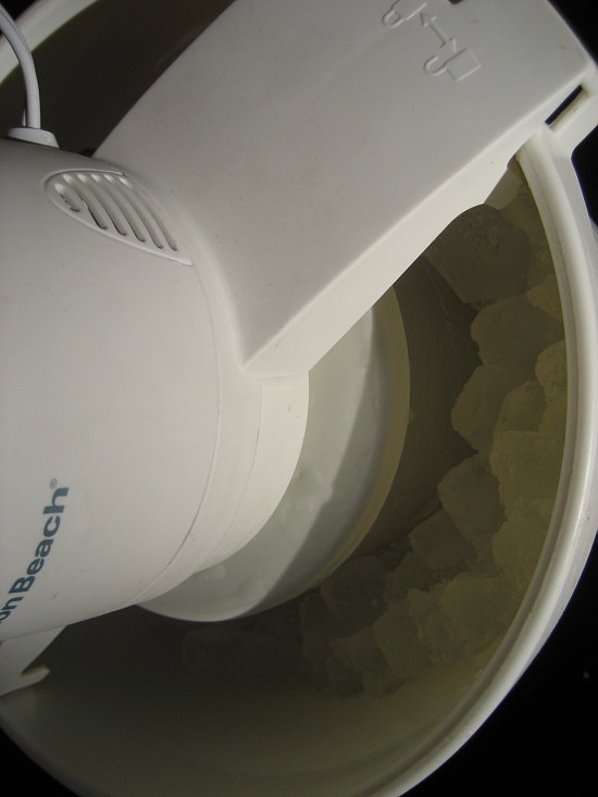 Peach Ice Cream Sandwiches With Ginger Cookies