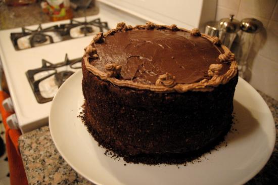 Excessively Expressive Espresso Ecstasy Cake